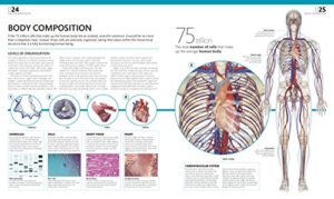 The Complete Human Body, 2nd Edition: The Definitive Visual Guide (DK Human Body Guides)