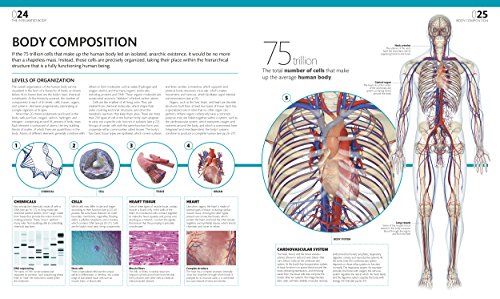 The Complete Human Body, 2nd Edition: The Definitive Visual Guide (DK Human Body Guides)