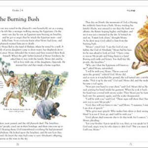 The Children's Illustrated Jewish Bible (DK Bibles and Bible Guides)