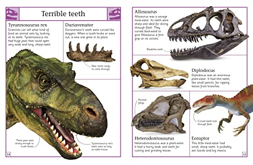 The Big Book of Dinosaurs (DK Big Books)