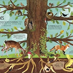 The Magic and Mystery of Trees (The Magic and Mystery of the Natural World)