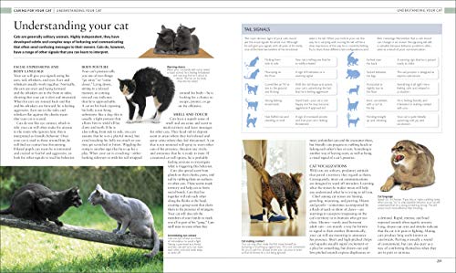 The Cat Encyclopedia: The Definitive Visual Guide (DK Pet Encyclopedias)