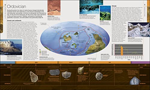 Dinosaurs and Prehistoric Life: The Definitive Visual Guide to Prehistoric Animals (DK Definitive Visual Encyclopedias)