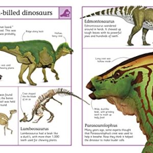 The Big Book of Dinosaurs (DK Big Books)