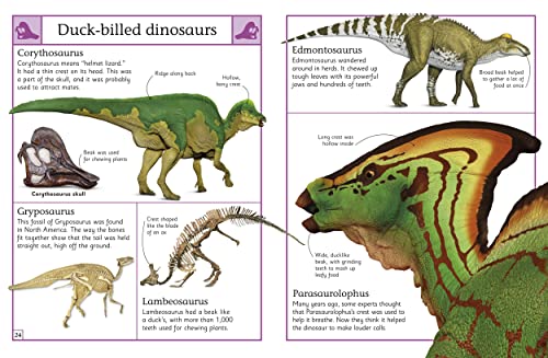 The Big Book of Dinosaurs (DK Big Books)