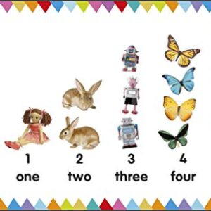 My First Touch and Feel Picture Cards: Numbers and Counting (My First Board Books)