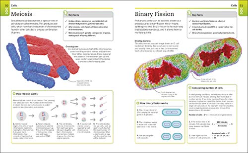 Super Simple Biology: The Ultimate Bitesize Study Guide (DK Super Simple)