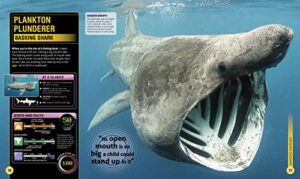 Super Shark Encyclopedia: And Other Creatures of the Deep (DK Super Nature Encyclopedias)