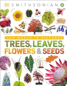 trees, leaves, flowers and seeds: a visual encyclopedia of the plant kingdom (dk our world in pictures)