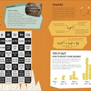 What's the Point of Math? (DK What's the Point of?)