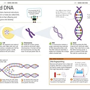 How to Be Good at Science, Technology, and Engineering (DK How to Be Good at)