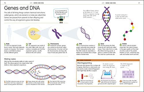 How to Be Good at Science, Technology, and Engineering (DK How to Be Good at)