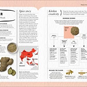 The Science of Spice: Understand Flavor Connections and Revolutionize Your Cooking