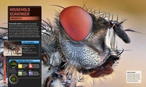 Super Bug Encyclopedia: The Biggest, Fastest, Deadliest Creepy-Crawlers on the Planet (DK Super Nature Encyclopedias)