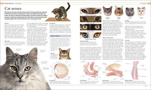 The Cat Encyclopedia: The Definitive Visual Guide (DK Pet Encyclopedias)