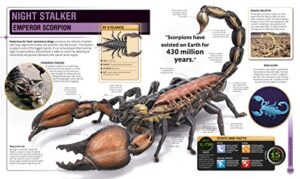 Super Bug Encyclopedia: The Biggest, Fastest, Deadliest Creepy-Crawlers on the Planet (DK Super Nature Encyclopedias)