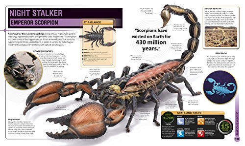 Super Bug Encyclopedia: The Biggest, Fastest, Deadliest Creepy-Crawlers on the Planet (DK Super Nature Encyclopedias)