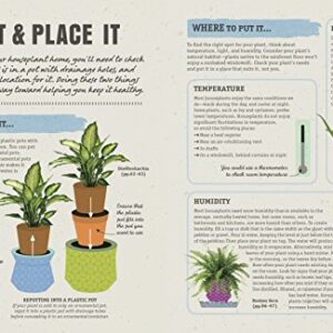 How Not to Kill Your Houseplant: Survival Tips for the Horticulturally Challenged