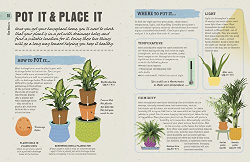 How Not to Kill Your Houseplant: Survival Tips for the Horticulturally Challenged