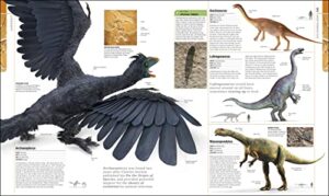 Dinosaurs and Prehistoric Life: The Definitive Visual Guide to Prehistoric Animals (DK Definitive Visual Encyclopedias)