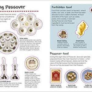 Ultimate Sticker Book Passover