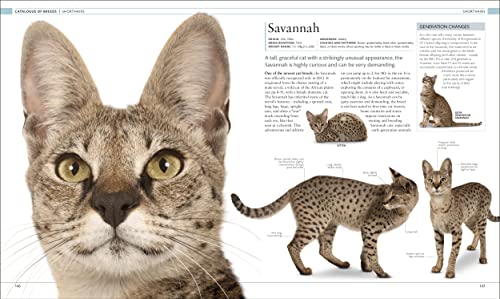 The Cat Encyclopedia: The Definitive Visual Guide (DK Pet Encyclopedias)