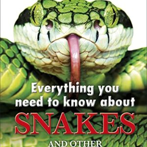 Everything You Need to Know About Snakes