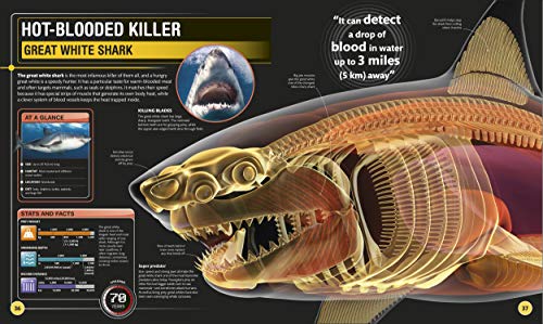 Super Shark Encyclopedia: And Other Creatures of the Deep (DK Super Nature Encyclopedias)