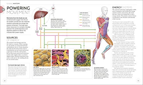 Science of Running: Analyze your Technique, Prevent Injury, Revolutionize your Training (DK Science of)