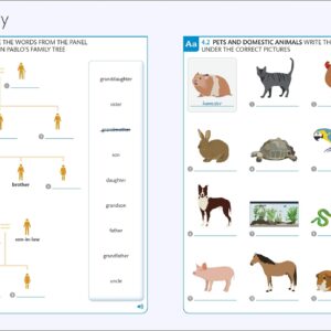 English for Everyone: Level 1 Practice Book - Beginner English: ESL Workbook, Interactive English Learning for Adults