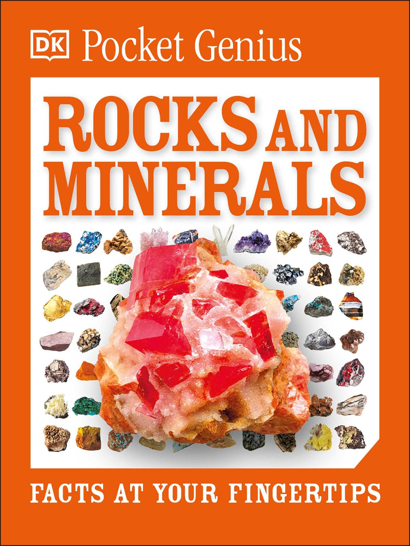 Pocket Genius: Rocks and Minerals: Facts at Your Fingertips