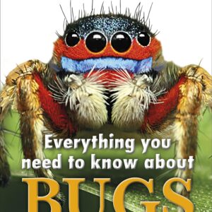 Everything You Need to Know About Bugs