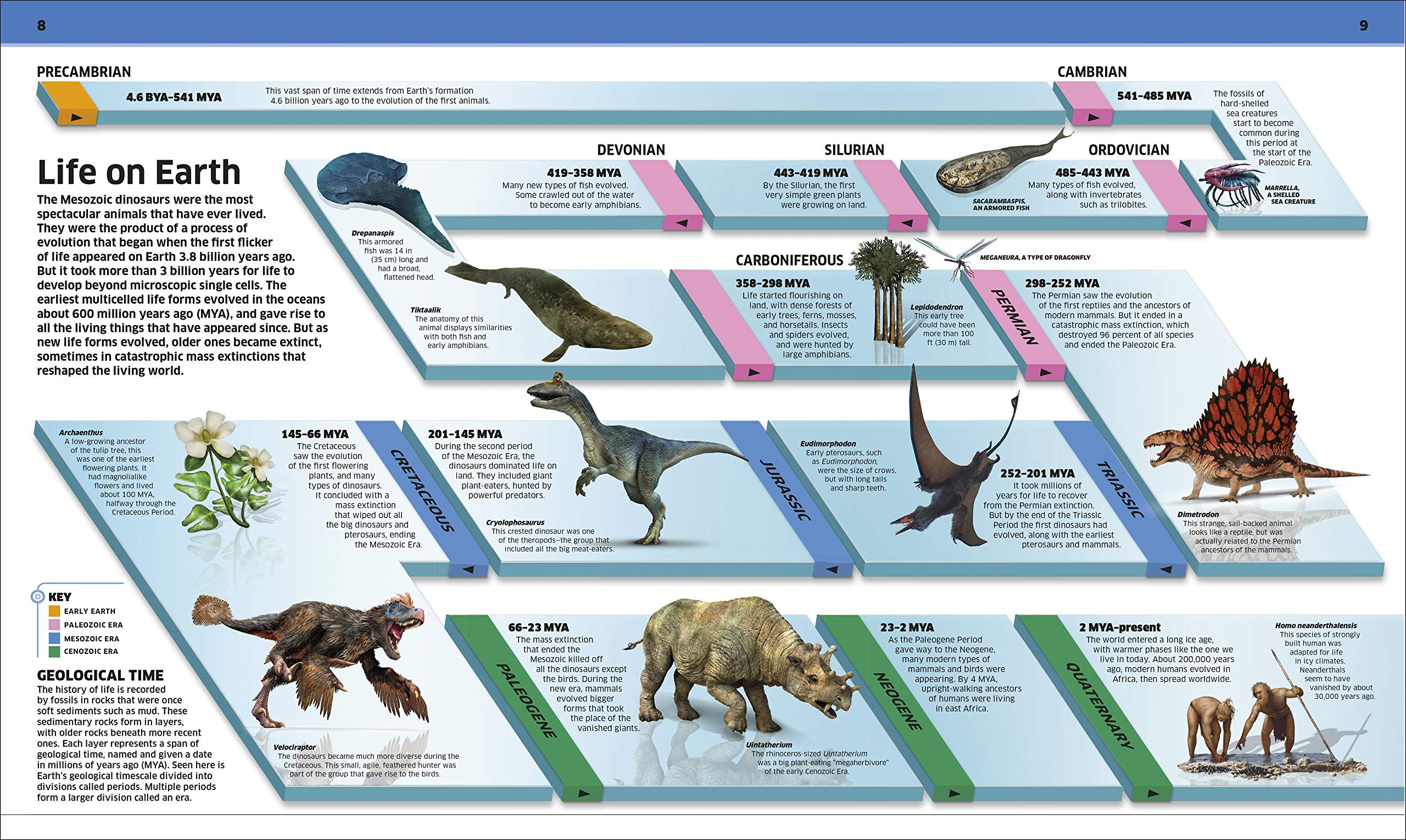 Knowledge Encyclopedia Dinosaur!: Over 60 Prehistoric Creatures as You've Never Seen Them Before (DK Knowledge Encyclopedias)