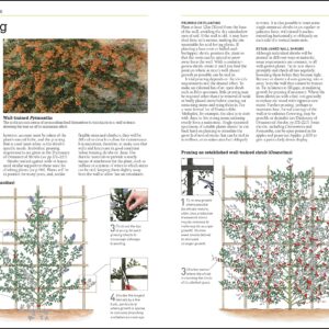 Pruning and Training, Revised New Edition: What, When, and How to Prune