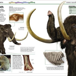 Knowledge Encyclopedia Dinosaur!: Over 60 Prehistoric Creatures as You've Never Seen Them Before (DK Knowledge Encyclopedias)