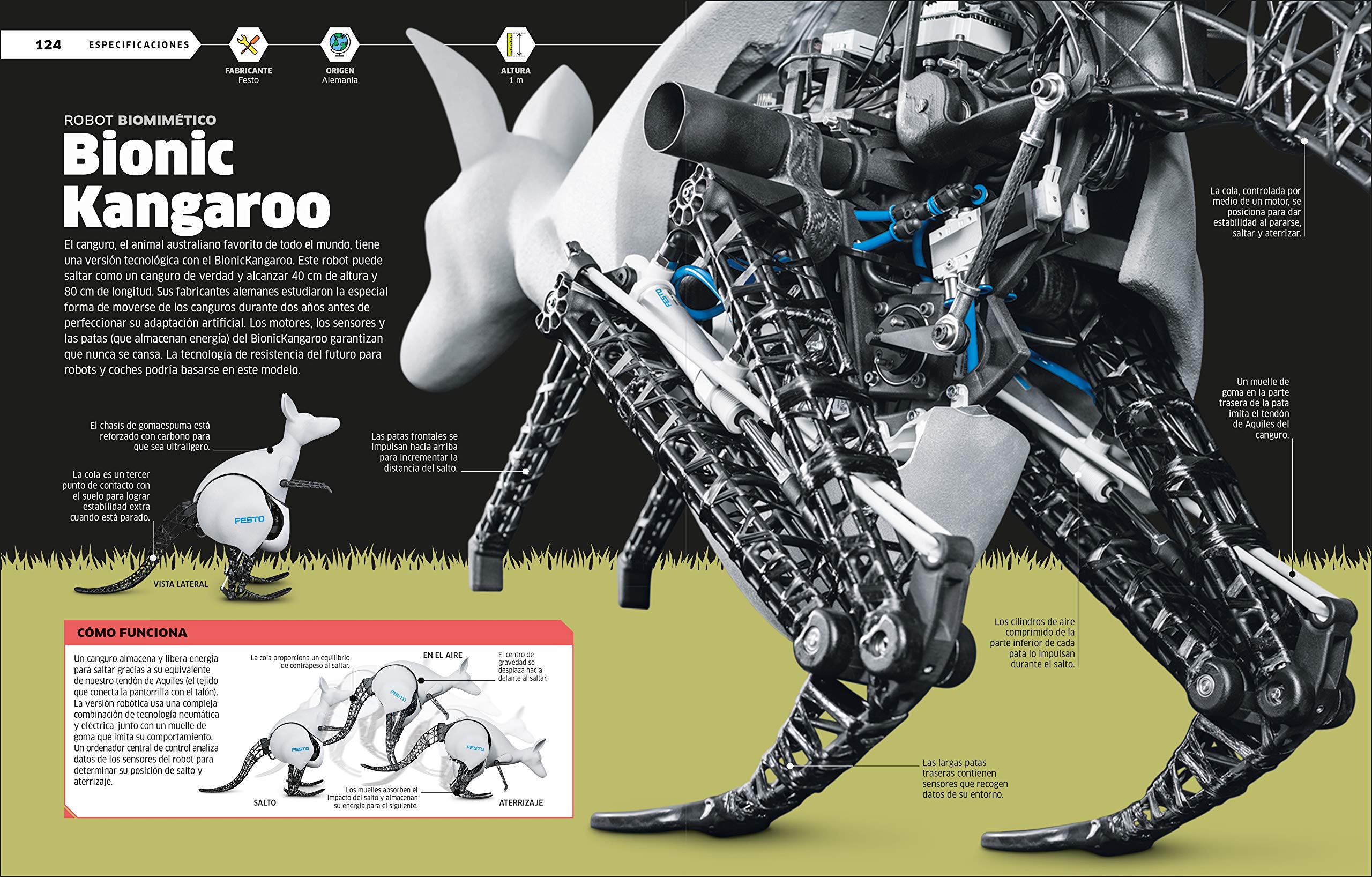 Robot (Spanish Edition): Descubre las máquinas del futuro