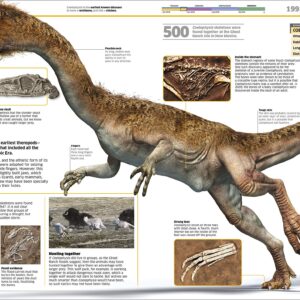 Knowledge Encyclopedia Dinosaur!: Over 60 Prehistoric Creatures as You've Never Seen Them Before (DK Knowledge Encyclopedias)