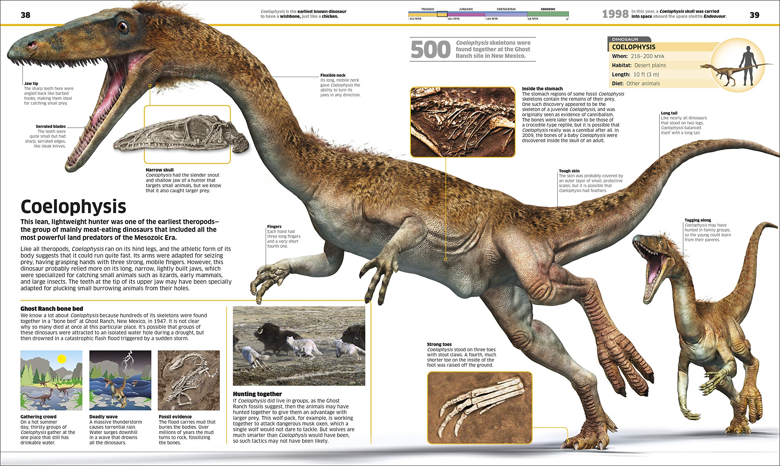 Knowledge Encyclopedia Dinosaur!: Over 60 Prehistoric Creatures as You've Never Seen Them Before (DK Knowledge Encyclopedias)