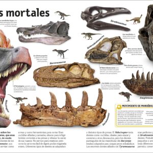 El libro de los dinosaurios (The Dinosaur Book) (DK Our World in Pictures) (Spanish Edition)