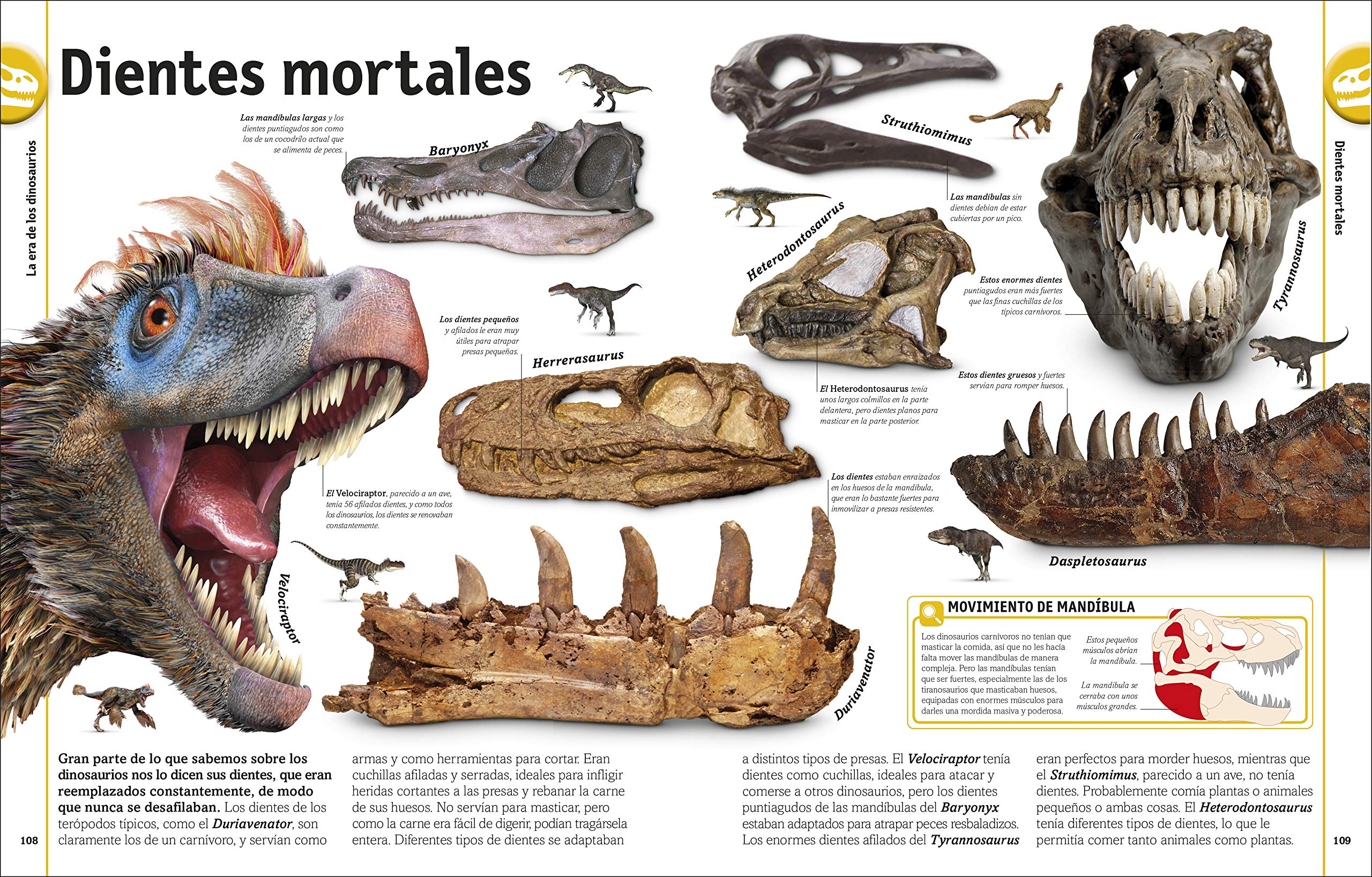 El libro de los dinosaurios (The Dinosaur Book) (DK Our World in Pictures) (Spanish Edition)