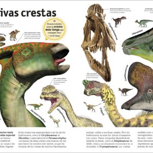 El libro de los dinosaurios (The Dinosaur Book) (DK Our World in Pictures) (Spanish Edition)