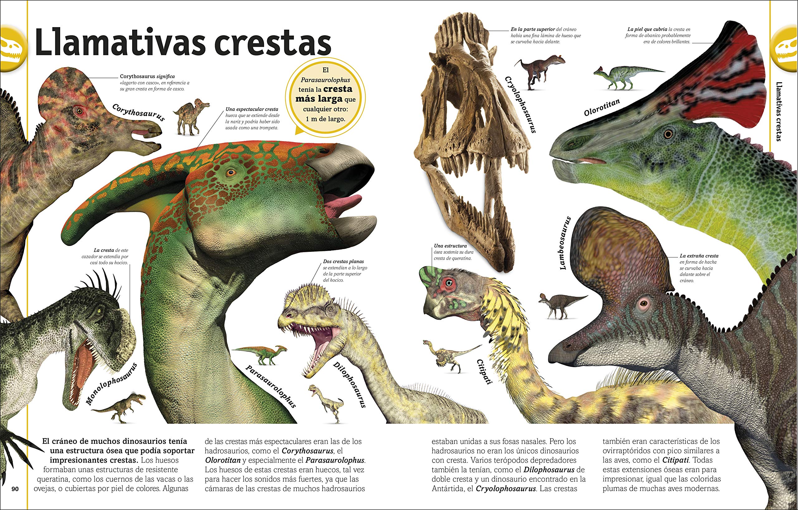 El libro de los dinosaurios (The Dinosaur Book) (DK Our World in Pictures) (Spanish Edition)