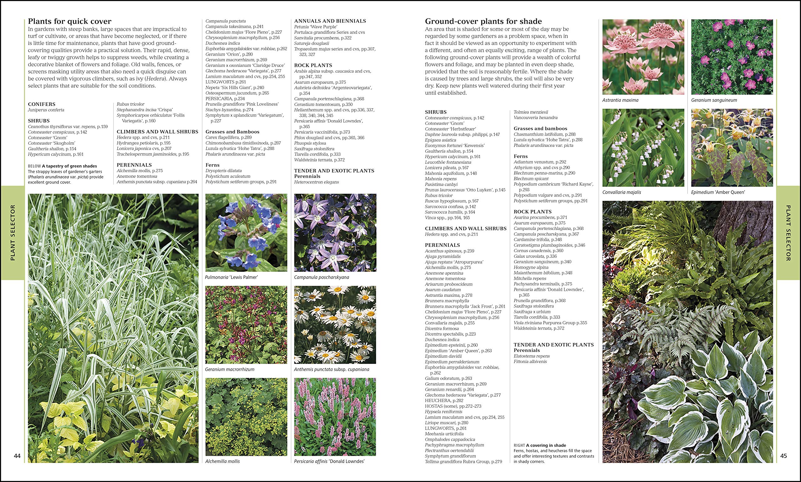 Encyclopedia of Plants and Flowers