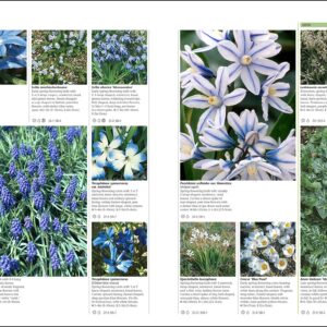 Encyclopedia of Plants and Flowers