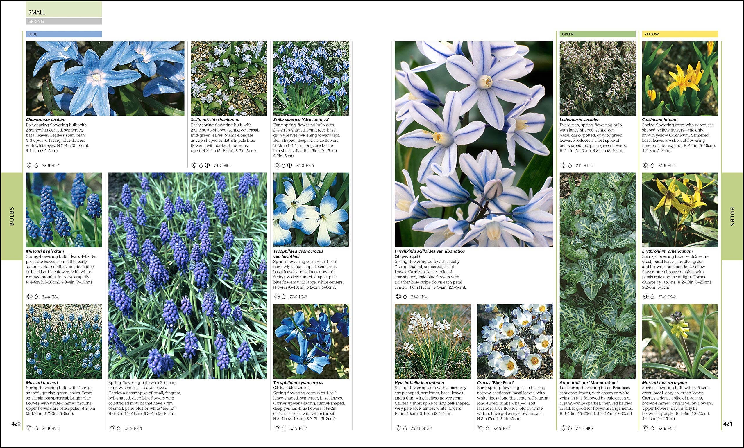 Encyclopedia of Plants and Flowers