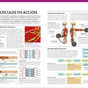 El gran libro del cuerpo humano (The Complete Human Body): Segunda edición. Ampliada y actualizada (DK Human Body Guides) (Spanish Edition)