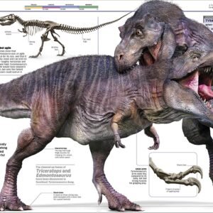 Knowledge Encyclopedia Dinosaur!: Over 60 Prehistoric Creatures as You've Never Seen Them Before (DK Knowledge Encyclopedias)