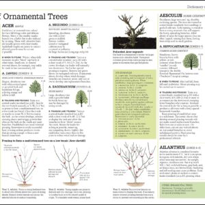 Pruning and Training, Revised New Edition: What, When, and How to Prune