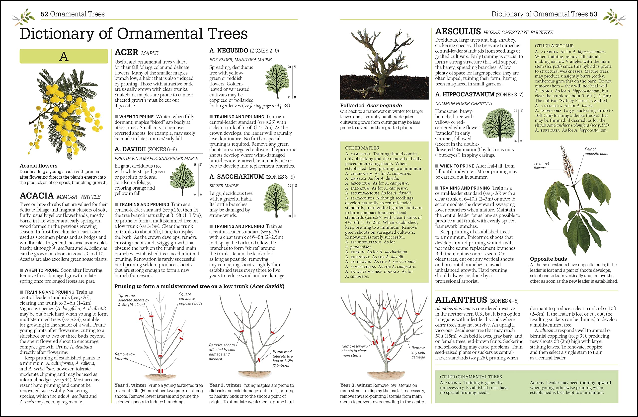 Pruning and Training, Revised New Edition: What, When, and How to Prune