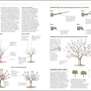 Pruning and Training, Revised New Edition: What, When, and How to Prune